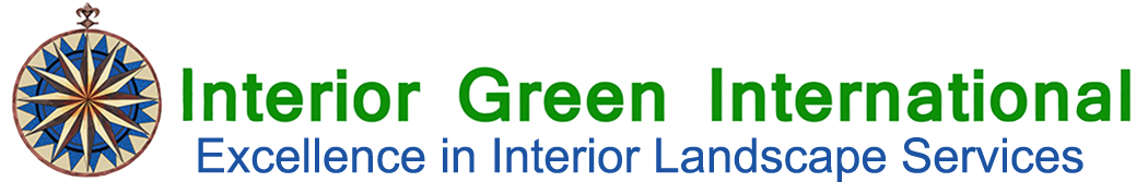 Houston's Leading Interior Plant Service Provider-Interior Green Intl ...